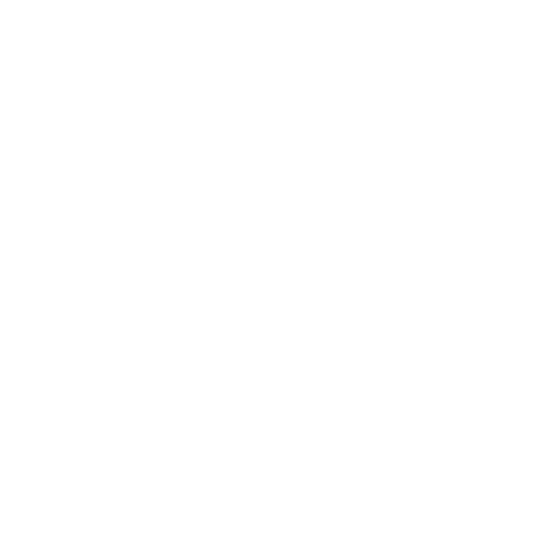 Droggol | Odoo service provider